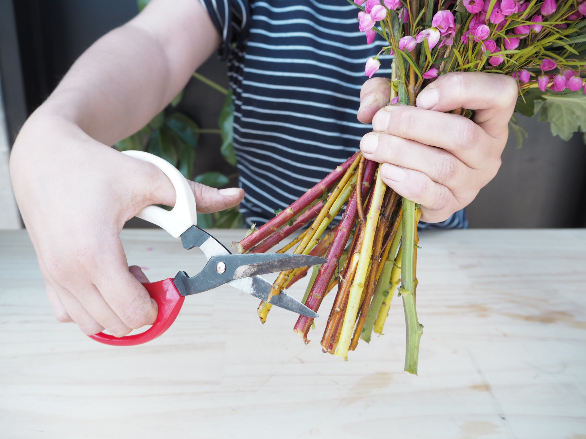 Why is it important to look after your flowers? – East End Flower Market